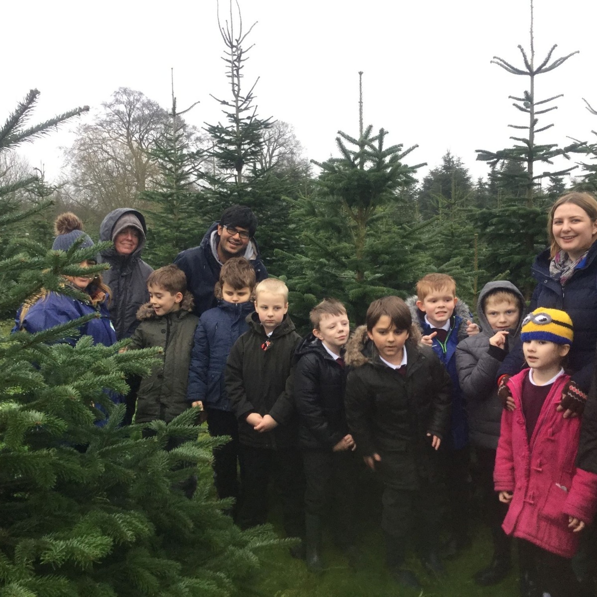 The Castle School - Christmas starts here!